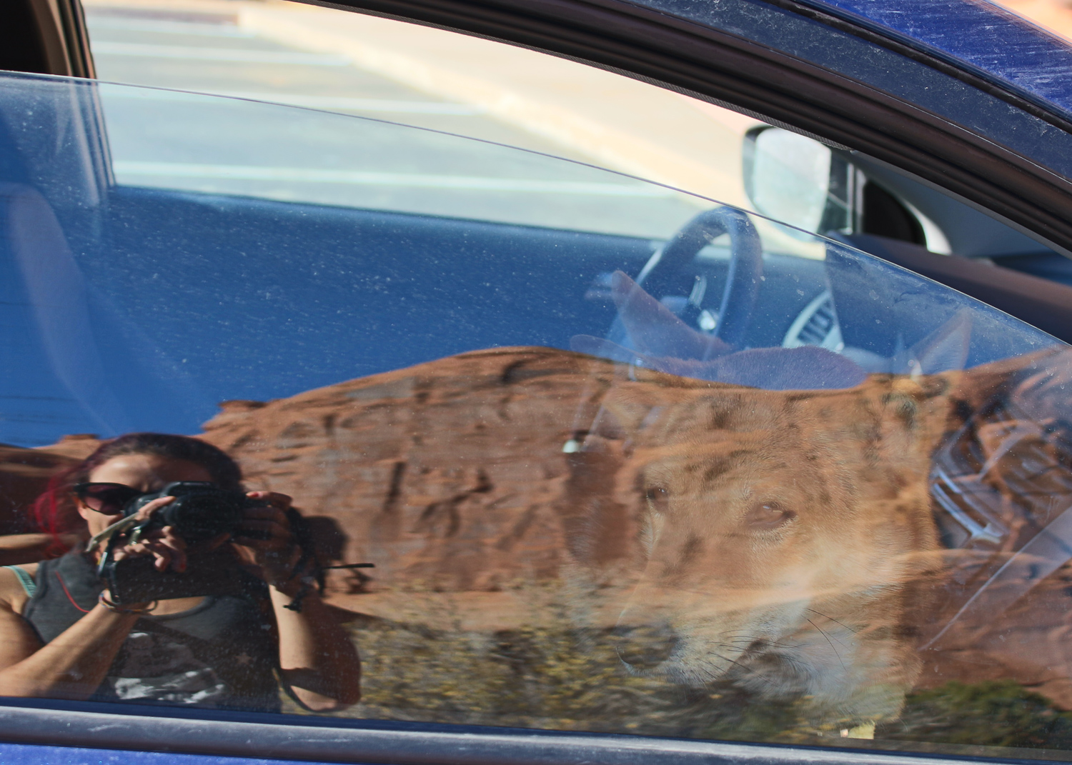 24 me ollie window arches national park – Angela Calonder